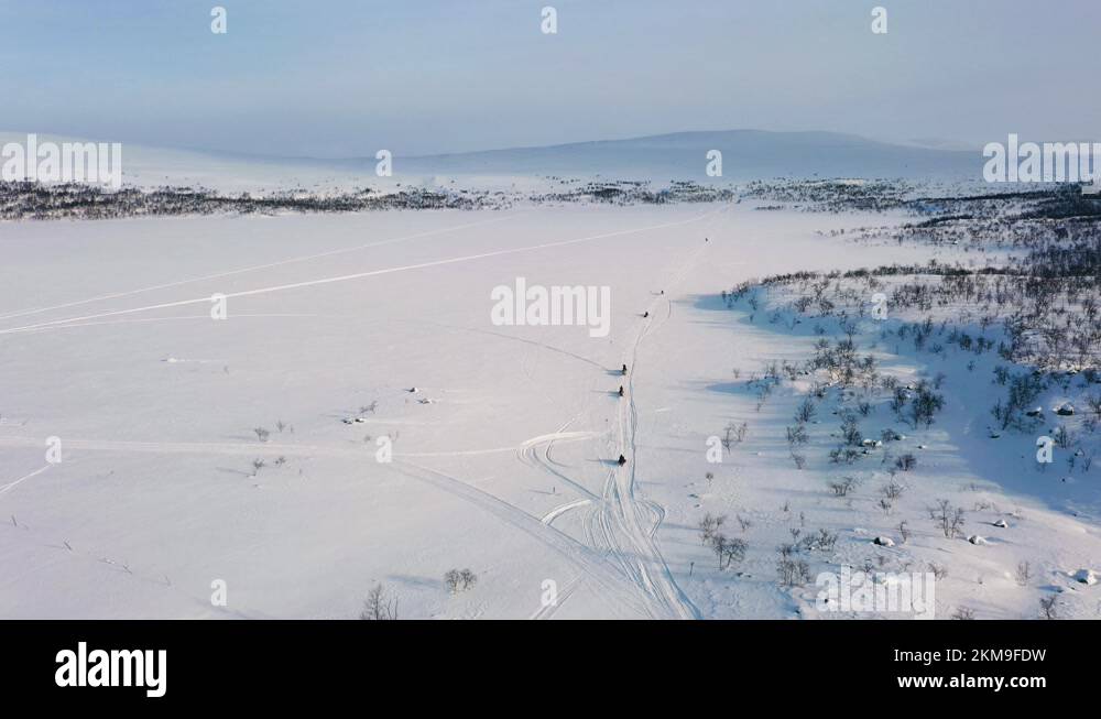 Arctic tree line Stock Videos & Footage - HD and 4K Video Clips - Alamy