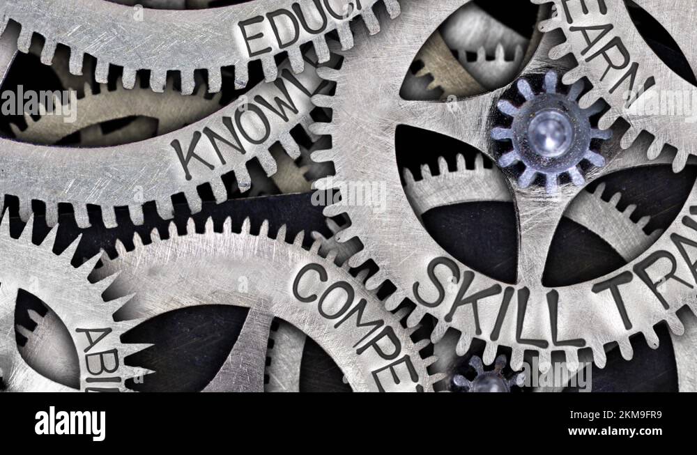 Tooth Wheels with Skill Training Concept Stock Video Footage - Alamy