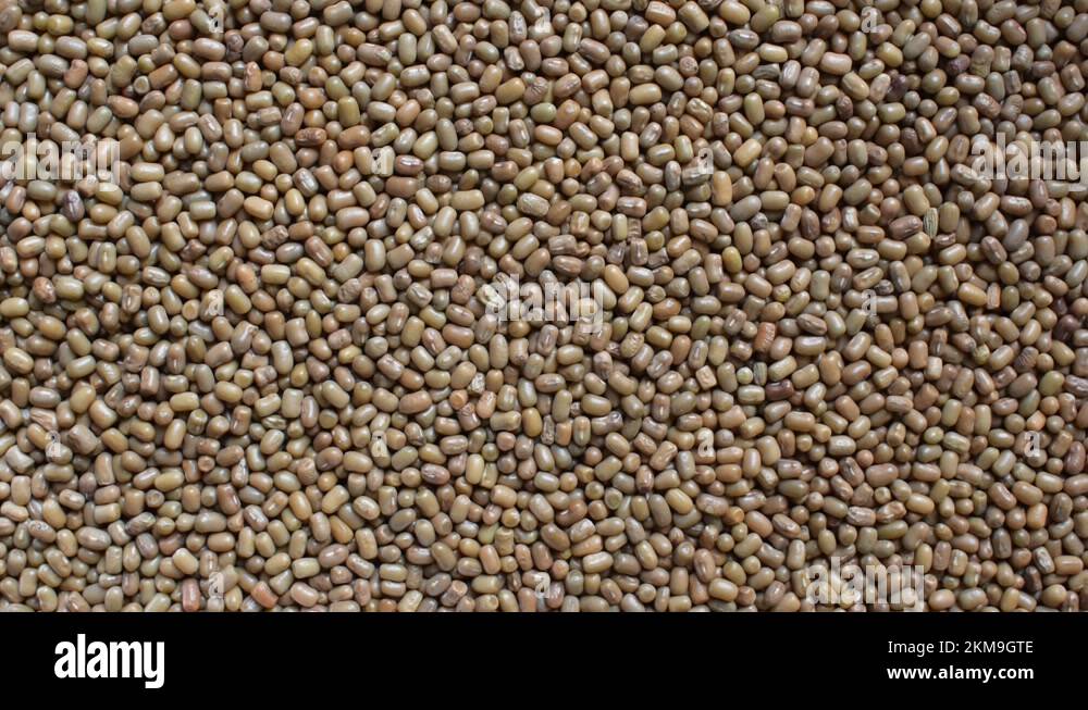Grain beans bean pulses Stock Videos & Footage - HD and 4K Video Clips ...