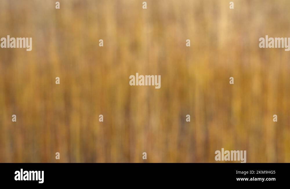 Horizontal wallpapers Stock Videos & Footage - HD and 4K Video Clips ...