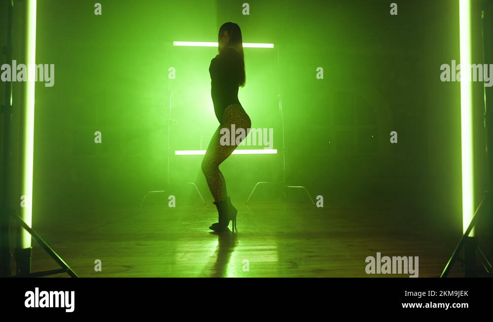 Sexy Woman In Leopard Pantyhose Dancing Twerk Girl Bends Twerking Her