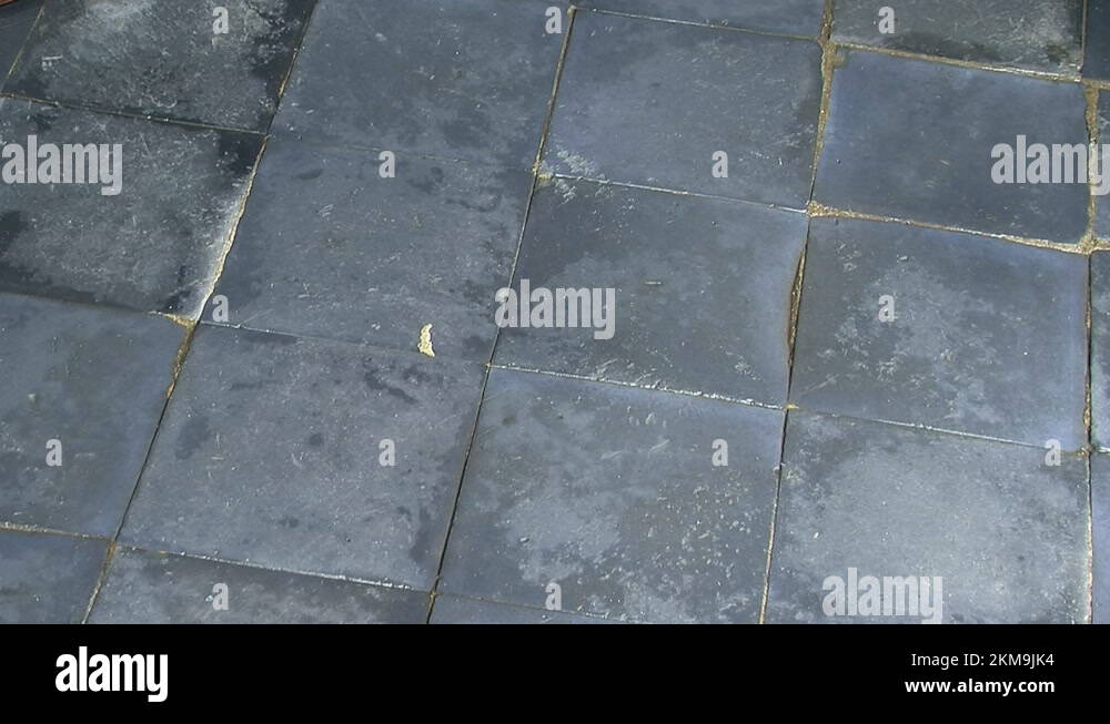 Slate tile texture Stock Videos & Footage - HD and 4K Video Clips - Alamy