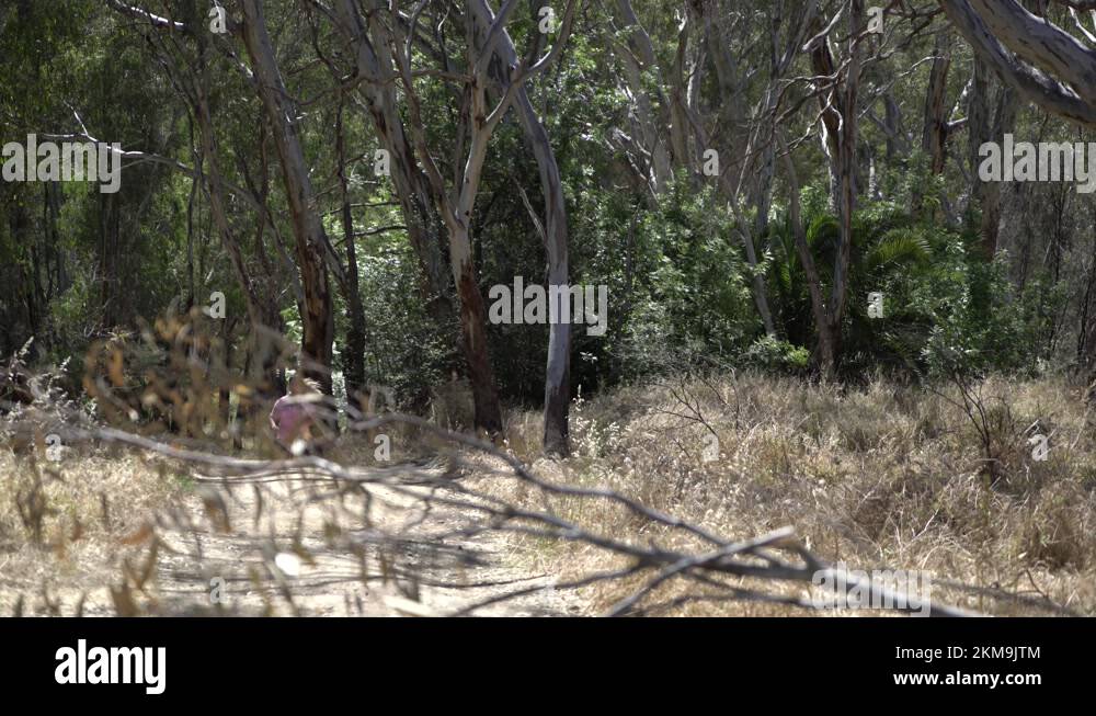 Woman australian outback Stock Videos & Footage - HD and 4K Video Clips ...