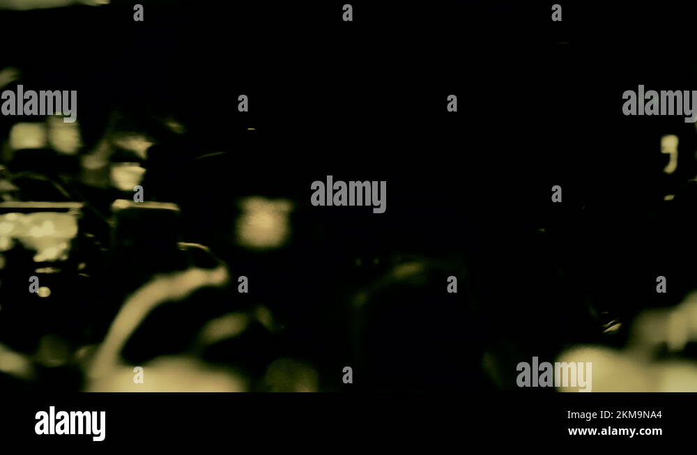 CONCERT Series hall crowd applause audience stage activity music ...