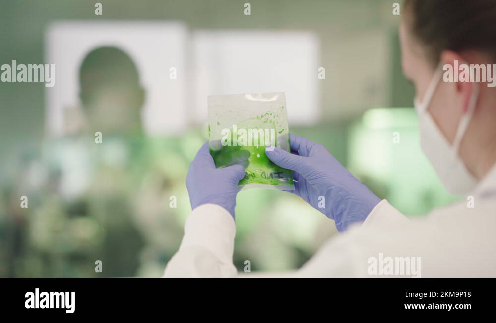 Woman Examining Extracted Plant Sap For Bacteria Analysis In A BioLab ...