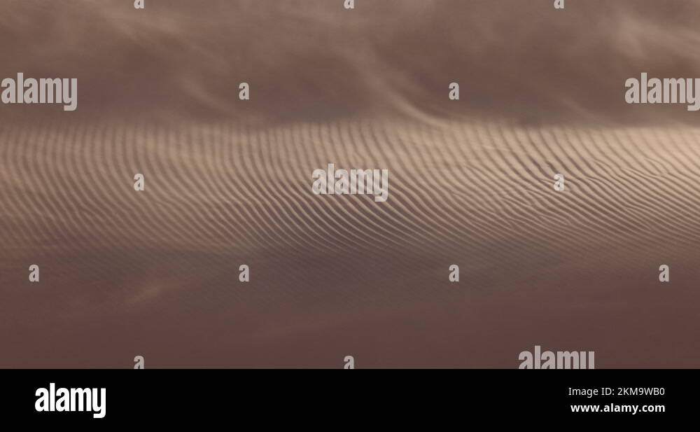 Drought. Climate change.Wind blowing sand across ripple textured sand ...