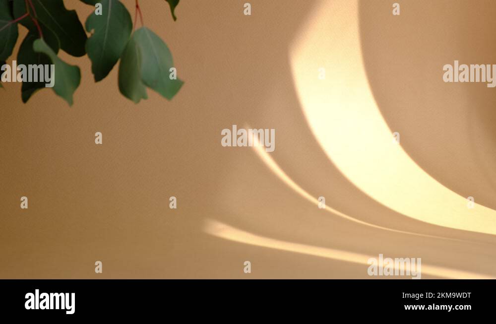 minimalistic screensaver. Morning sun lighting the room, shadow ...