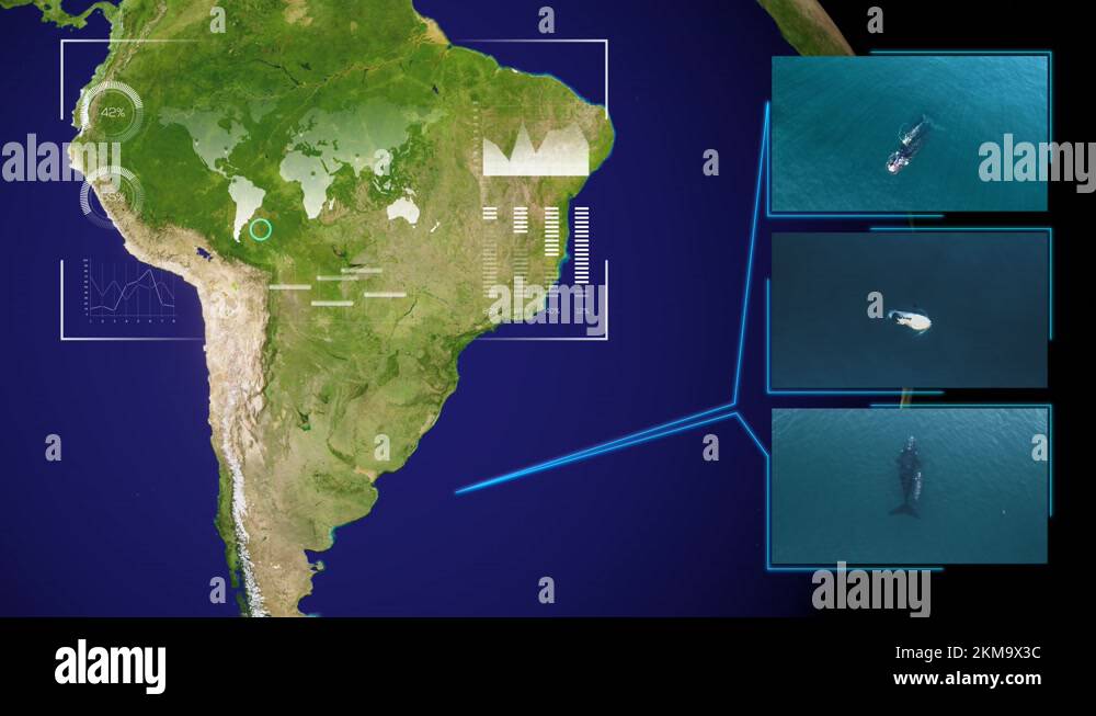 Whales map Stock Videos & Footage - HD and 4K Video Clips - Alamy