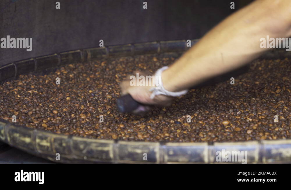 People hand roasting coffee bean spread out on threshing basket in ...