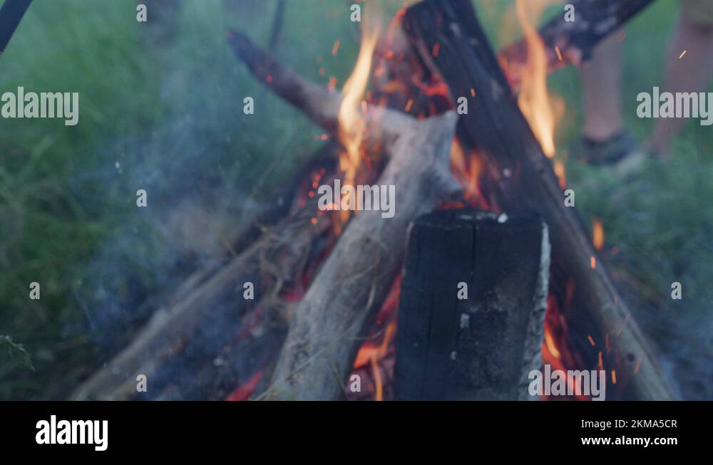 Guy Person Man adding firewood logs to Campfire Fire Burning in Dusk ...