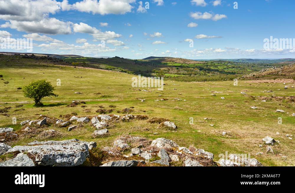 Moor moors tor Stock Videos & Footage - HD and 4K Video Clips - Alamy