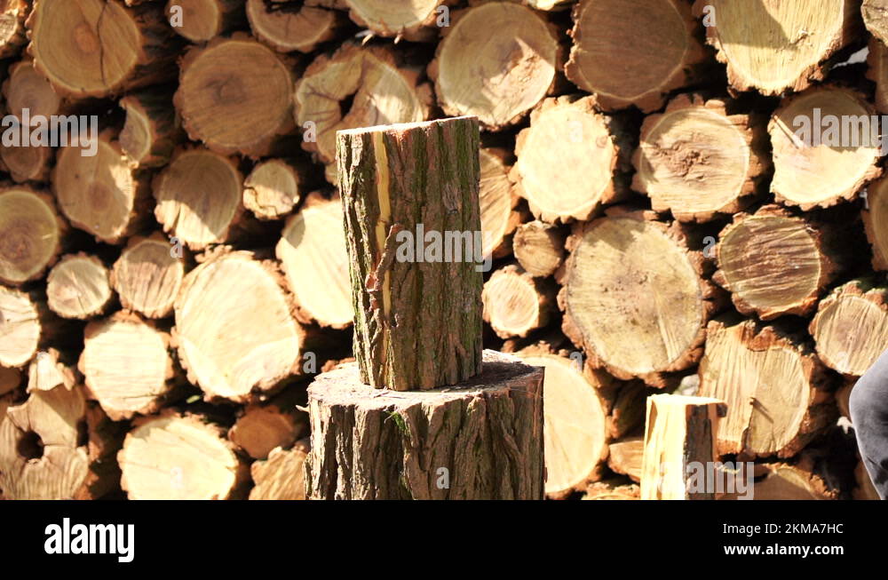 man chops wood with an ax, a large log is split into pieces Stock Video ...