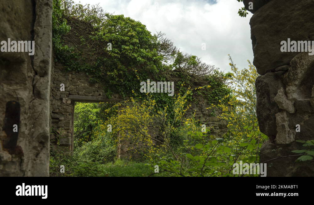 Ruined farm house Stock Videos & Footage - HD and 4K Video Clips - Alamy