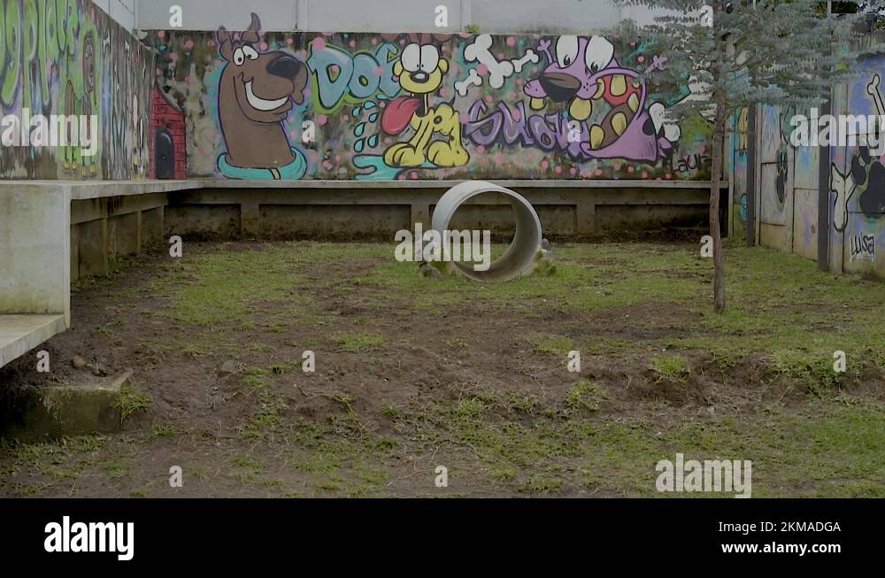 Pipe graffiti Stock Videos & Footage - HD and 4K Video Clips - Alamy