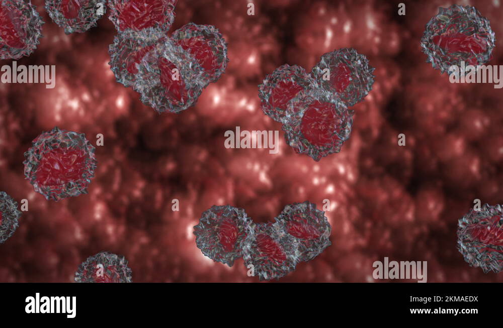 Monocyte cell Stock Videos & Footage - HD and 4K Video Clips - Alamy