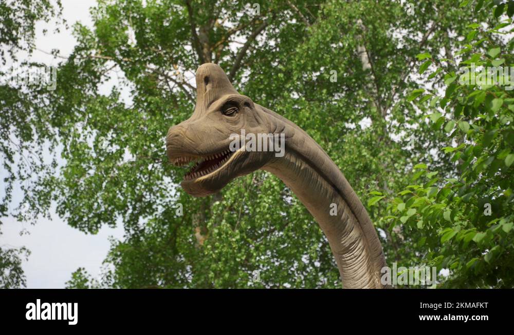 Dinosaur crest Stock Videos & Footage - HD and 4K Video Clips - Alamy