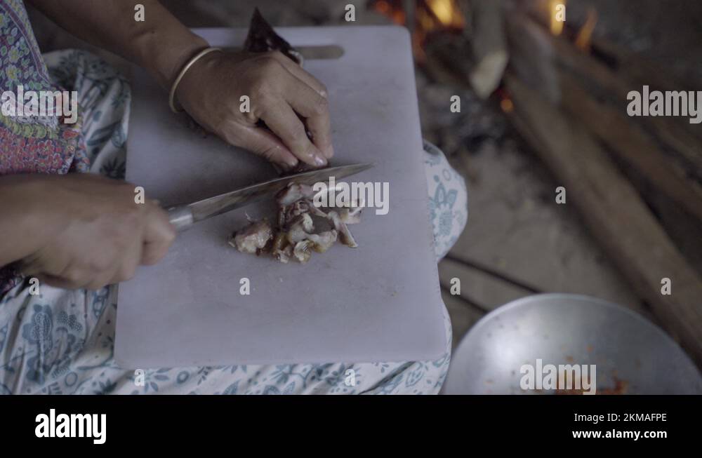 Indian pig Stock Videos & Footage - HD and 4K Video Clips - Alamy