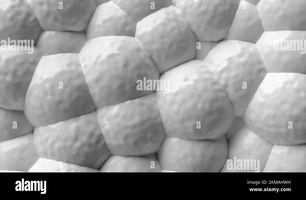 Inflated cells Stock Videos & Footage - HD and 4K Video Clips - Alamy