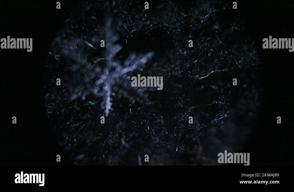 Ice structure microscope Stock Videos & Footage - HD and 4K Video Clips ...