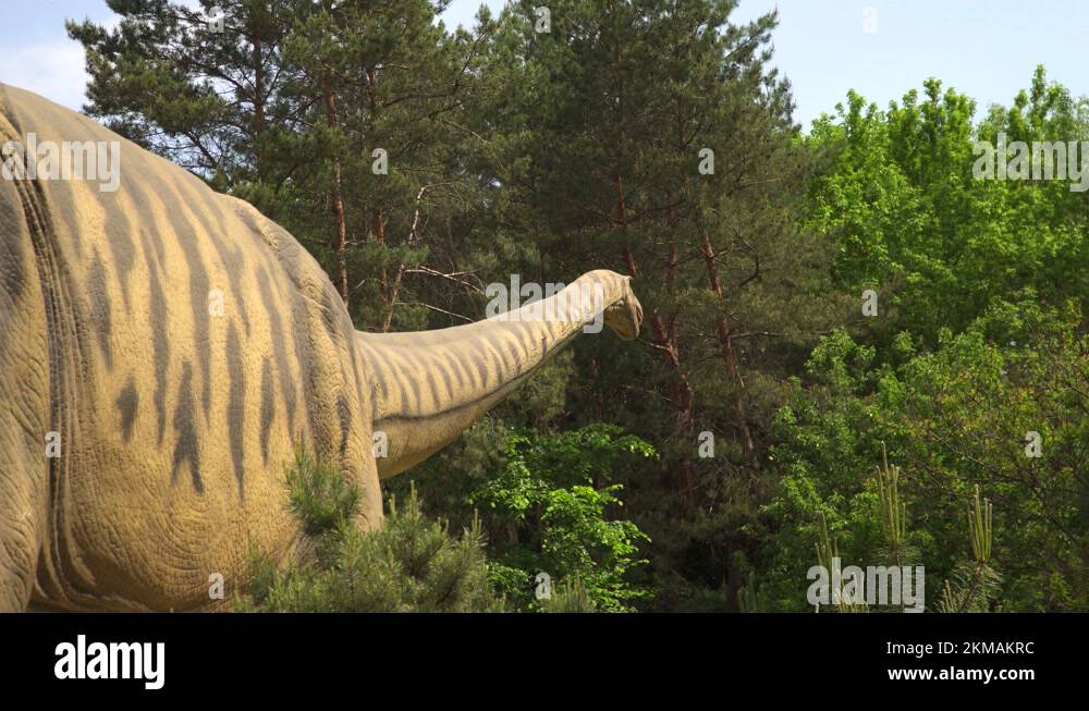 Living dinosaurs Stock Videos & Footage - HD and 4K Video Clips - Alamy