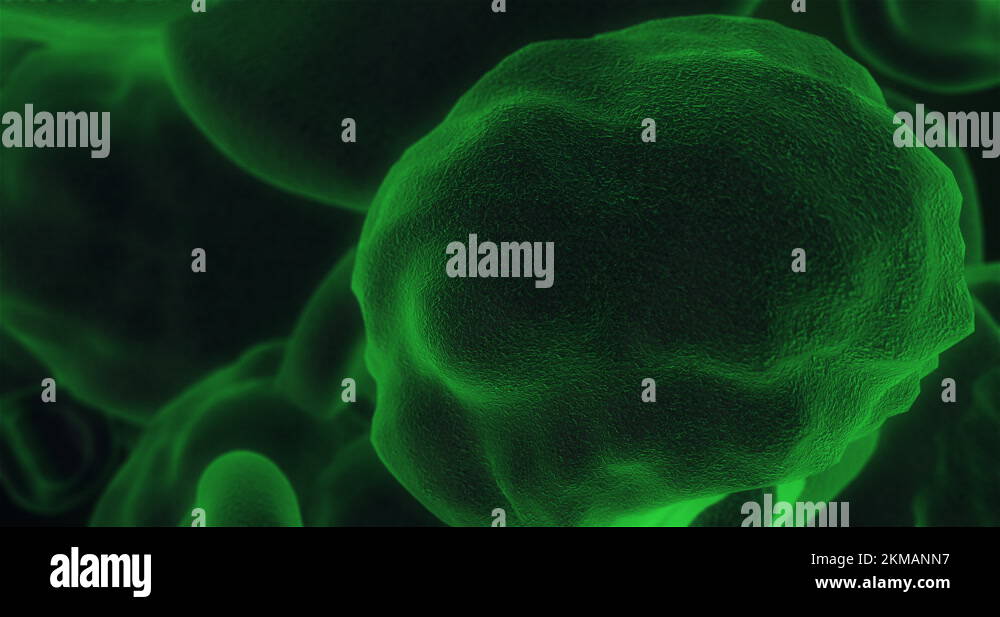 Human cell microscopic nucleus Stock Videos & Footage - HD and 4K Video ...