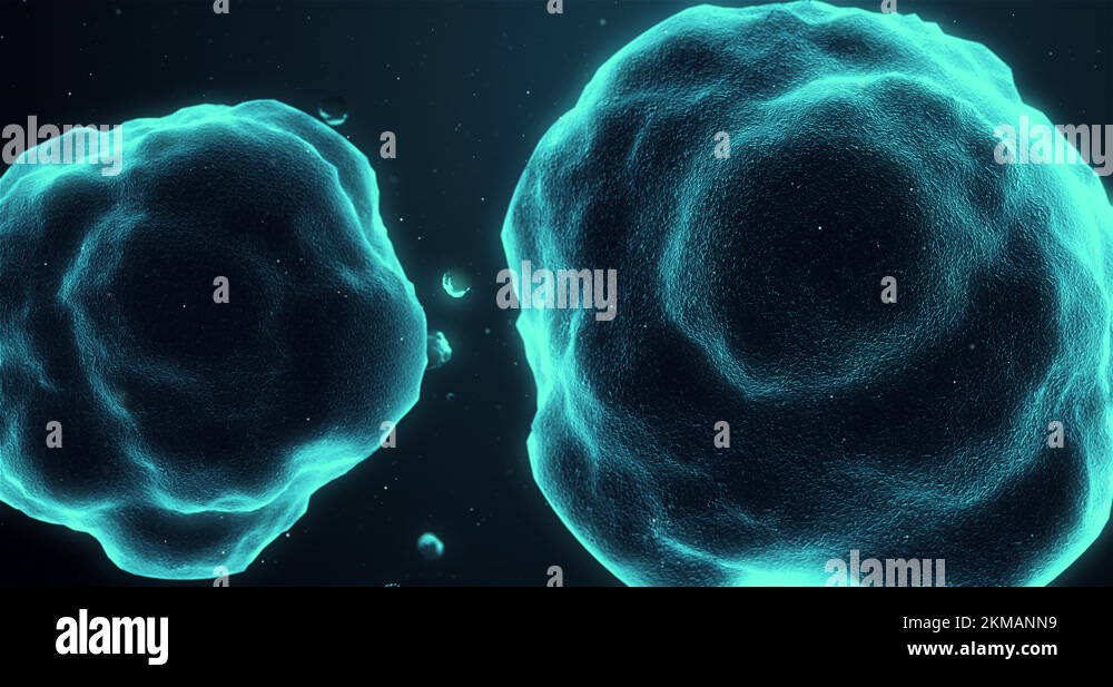 Organic cells moving in human tissue, microscopic view Stock Video ...