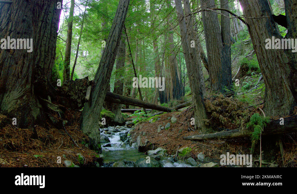 Beautiful nature reserve Stock Videos & Footage - HD and 4K Video Clips ...