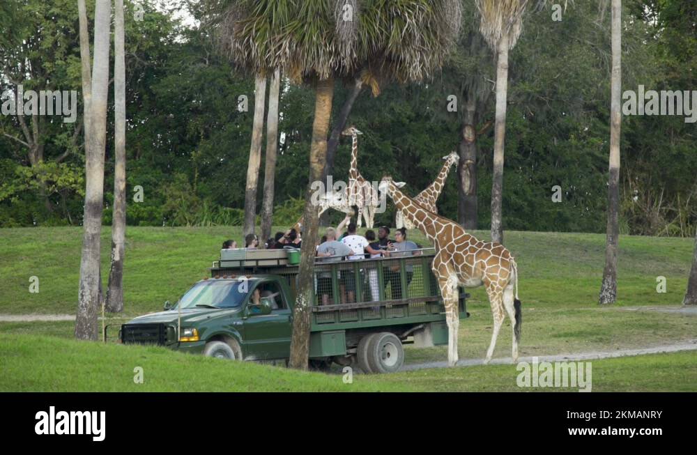 People on back of truck Stock Videos & Footage - HD and 4K Video Clips ...