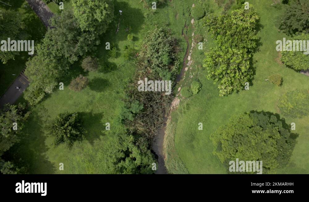 Narrow Stream Between Lush Fields With Trees At Bishan Park In ...