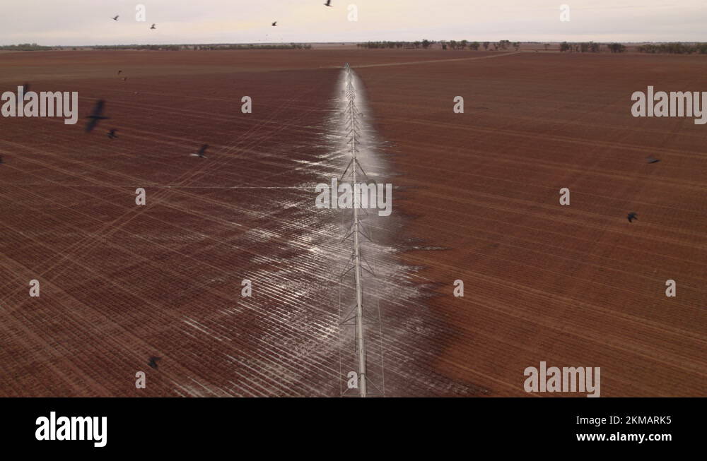 Outback life Stock Videos & Footage - HD and 4K Video Clips - Alamy