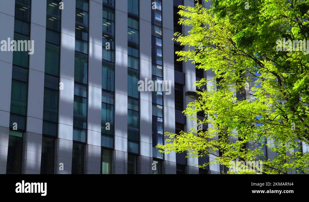 Clean street with greenery Stock Videos & Footage - HD and 4K Video ...