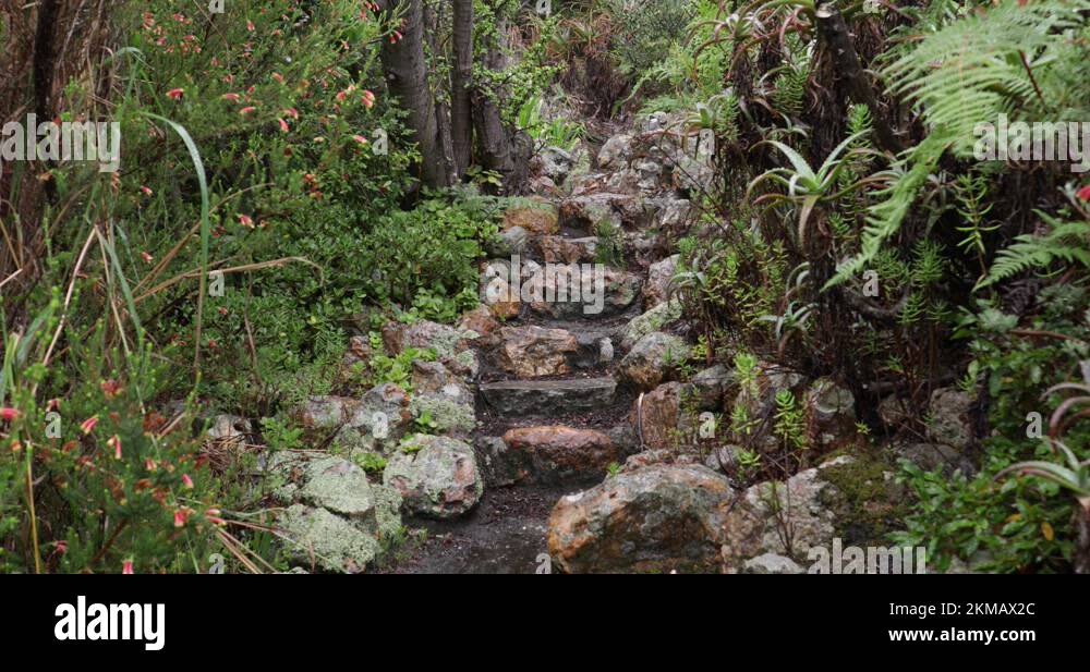 Secret steps Stock Videos & Footage - HD and 4K Video Clips - Alamy