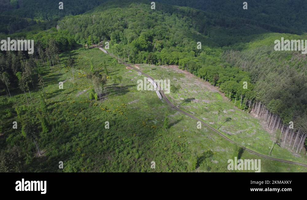 Clearing path after Stock Videos & Footage - HD and 4K Video Clips - Alamy