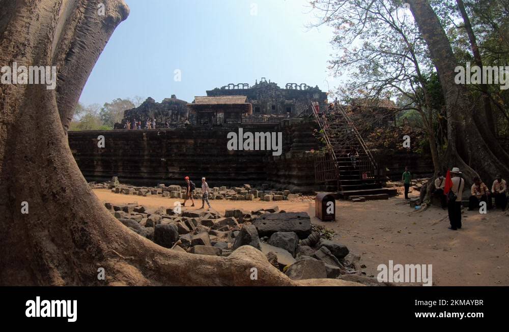 Tree ruins Stock Videos & Footage - HD and 4K Video Clips - Alamy