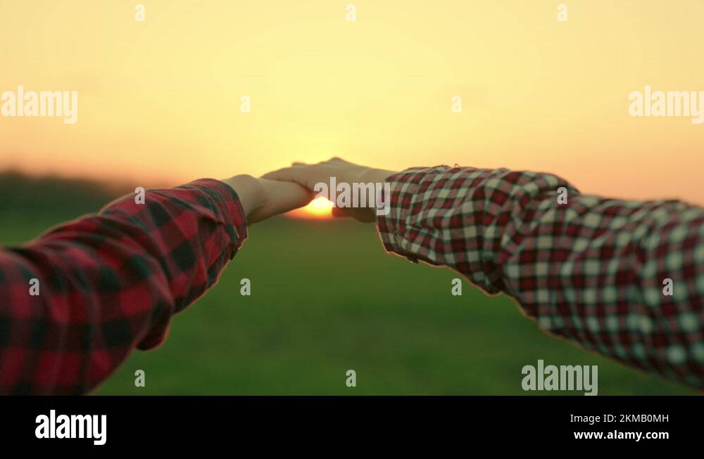 People in nature in summer raise their hands up at sunset. Happy group ...