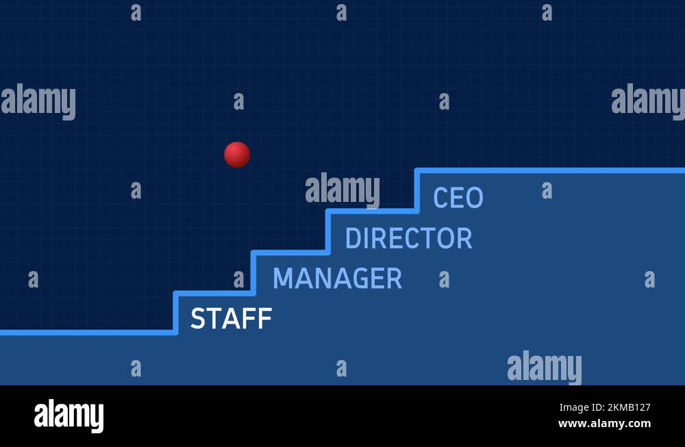 Career Ladder - From Staff to Manager to Director to CEO Animation ...