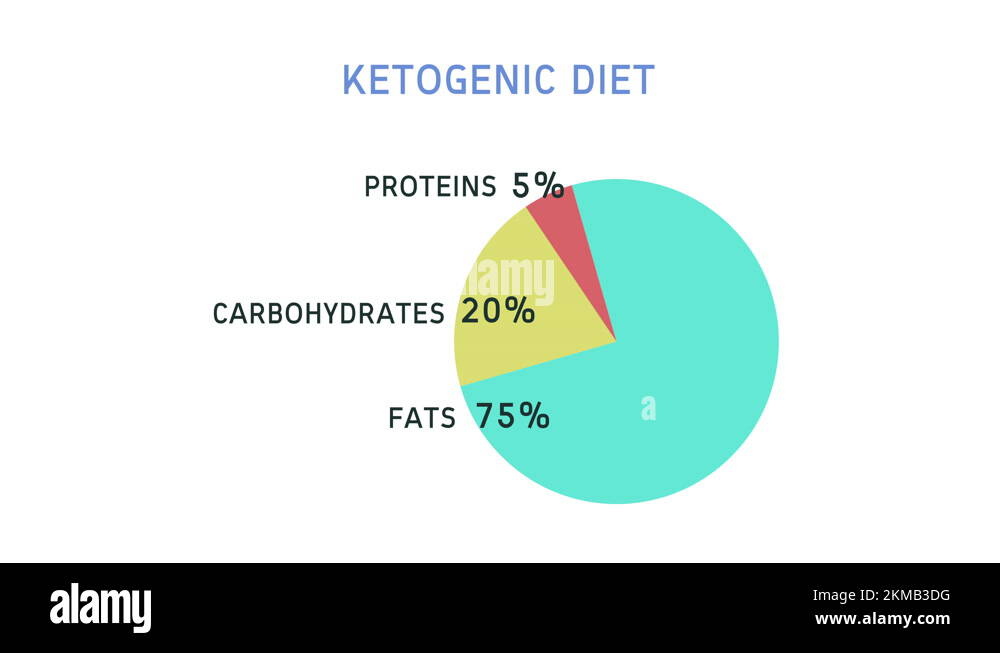 Ketogenic Diet Food Diagram Chart Animation Stock Video Footage - Alamy