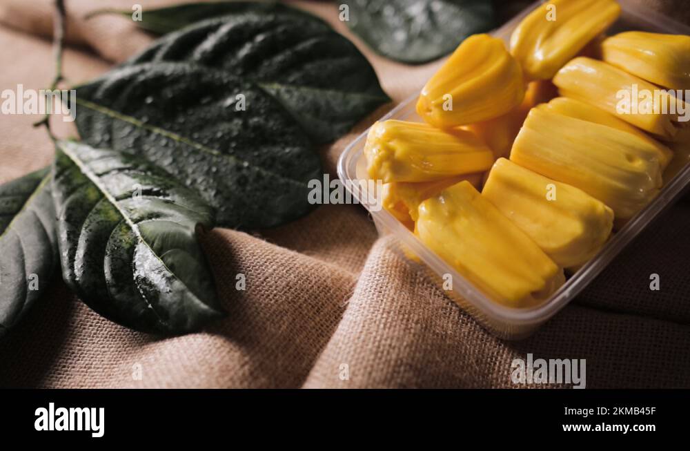 Jackfruit leaf Stock Videos & Footage - HD and 4K Video Clips - Alamy
