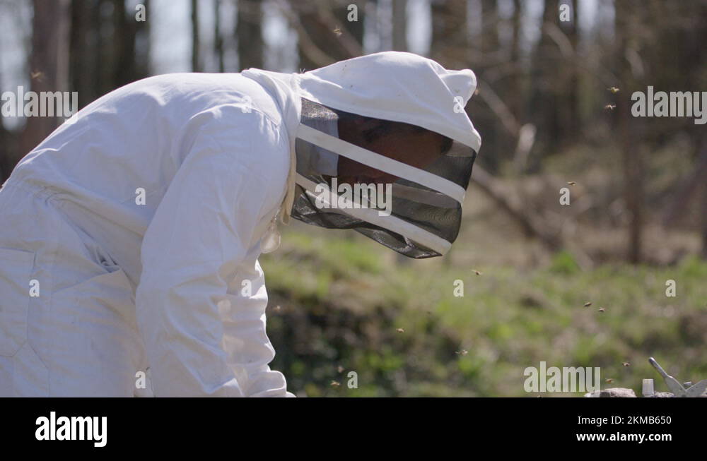 Back inspection Stock Videos & Footage - HD and 4K Video Clips - Alamy