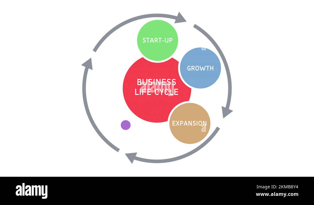 Business Life Cycle Animation on White Background and Green Screen ...