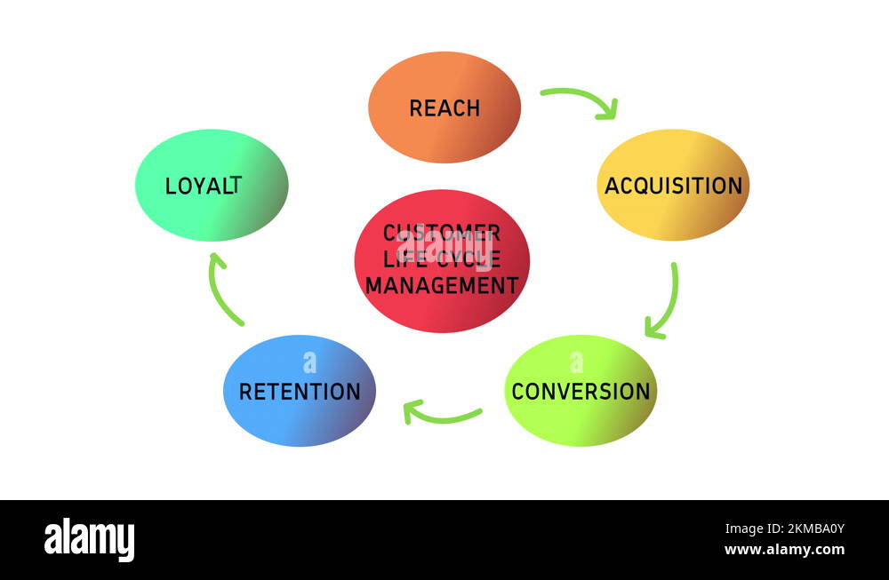 Management flowchart Stock Videos & Footage - HD and 4K Video Clips - Alamy