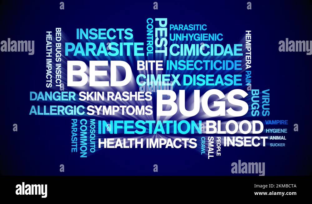 Bed Bugs animated word cloud,design animation kinetic typography ...