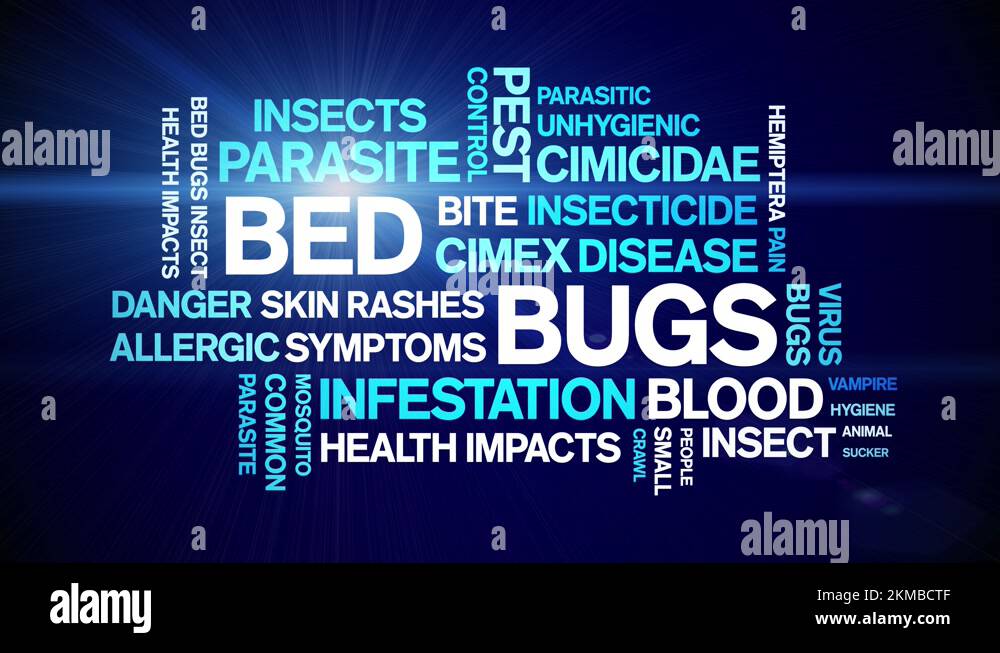 Bed Bugs animated word cloud,design animation kinetic typography ...