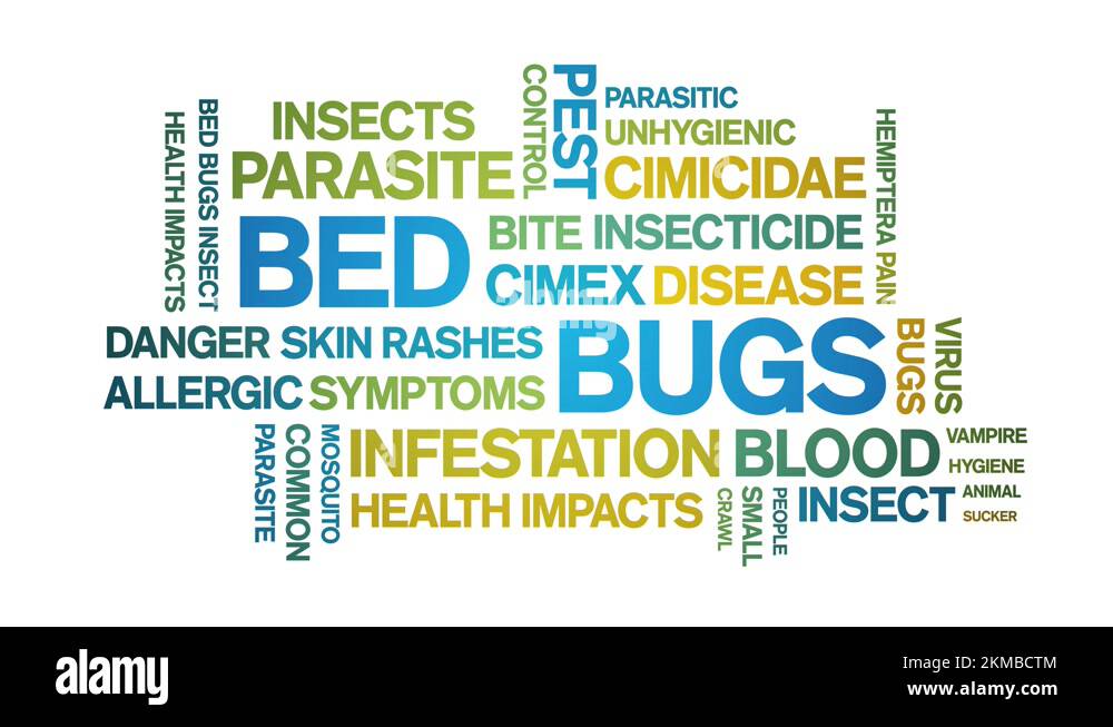 Bed Bugs animated word cloud,design animation kinetic typography ...