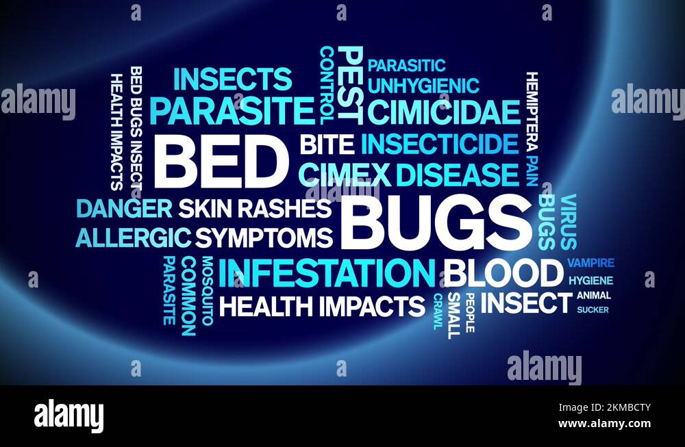 Bed Bugs animated word cloud,design animation kinetic typography ...