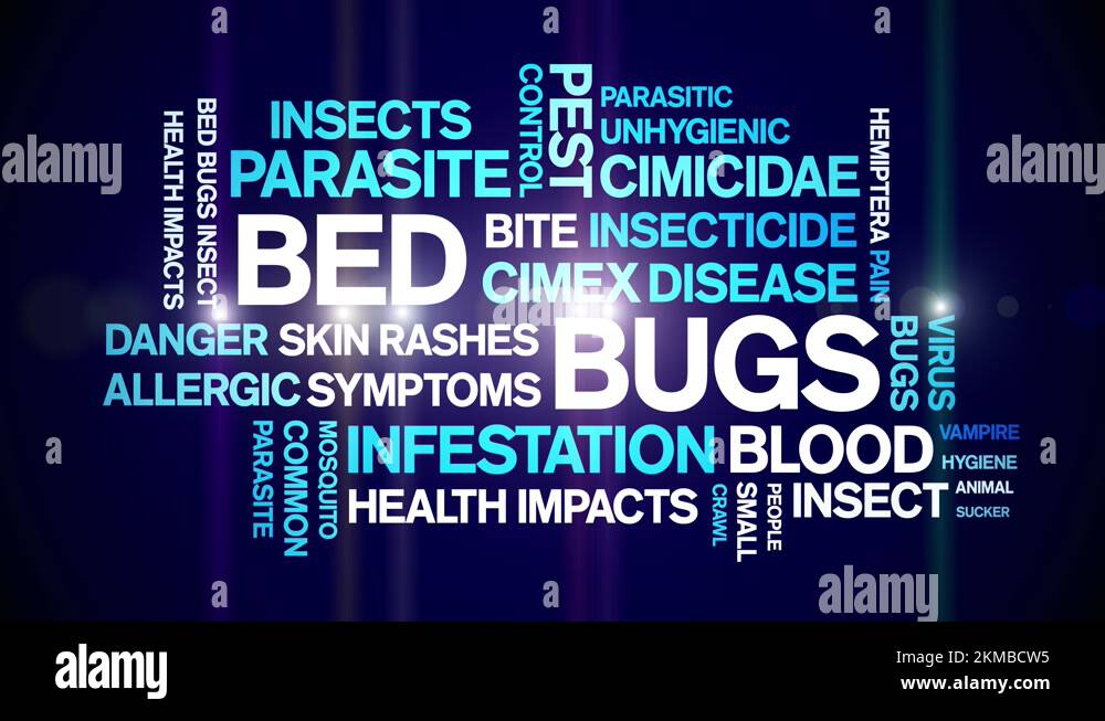 Bed Bugs animated word cloud,design animation kinetic typography ...