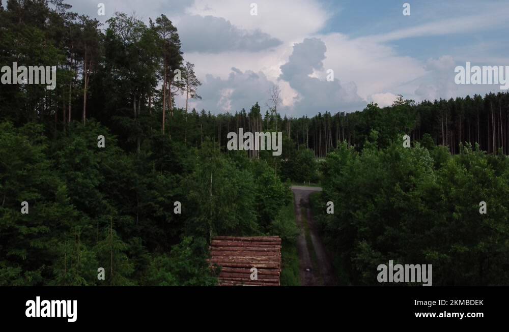 Planting of trees Stock Videos & Footage - HD and 4K Video Clips - Alamy