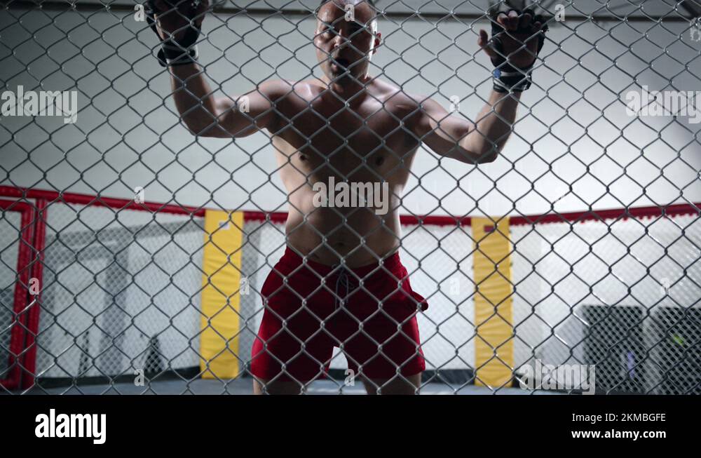Muscular MMA fighter is approaching the octagon cage and looking down ...