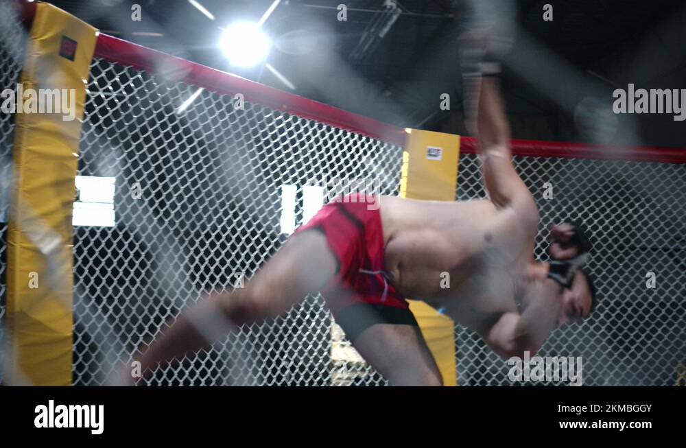 Muscular MMA fighter is practising in the octagon cage. Shadow boxing ...