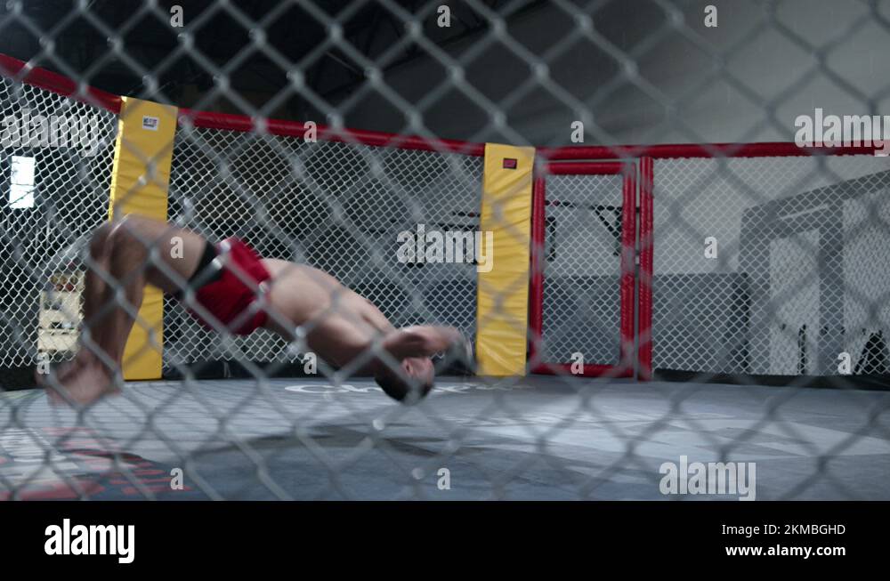 Muscular MMA fighter is practising in the octagon cage. Shadow boxing ...